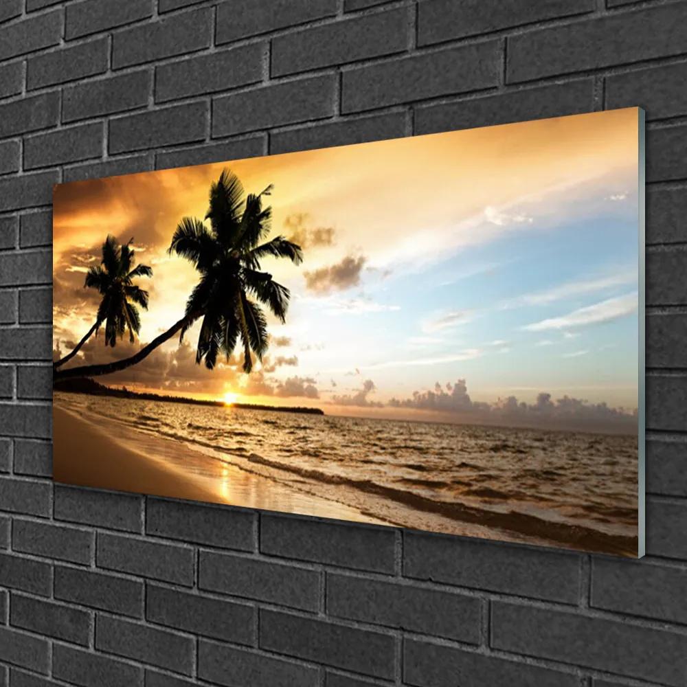 Obraz na skle Palma Stromy Pláž Krajina 140x70 cm