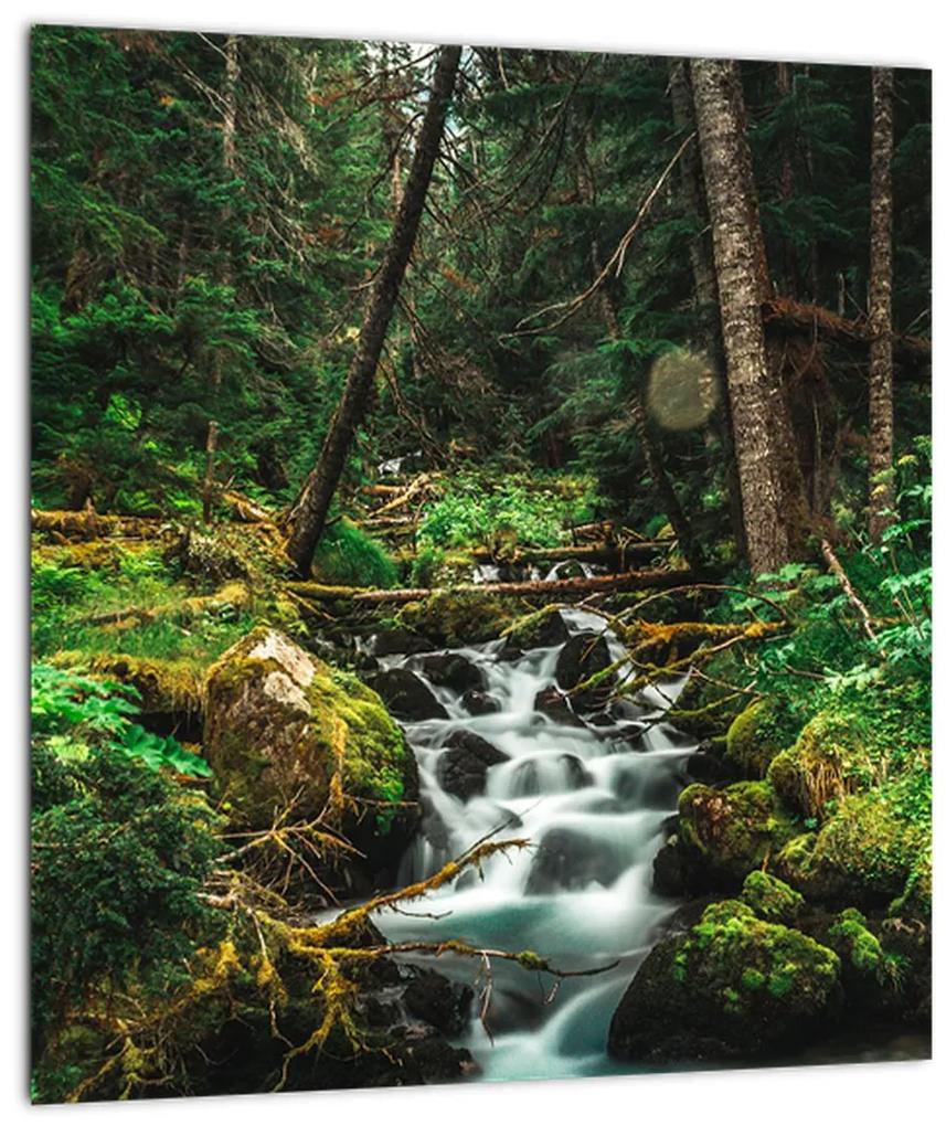 Obraz potoku v lese (30x30 cm)