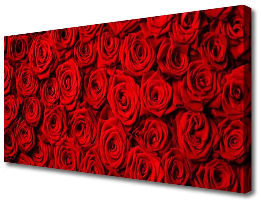 Obraz na plátně Růže 100x50cm