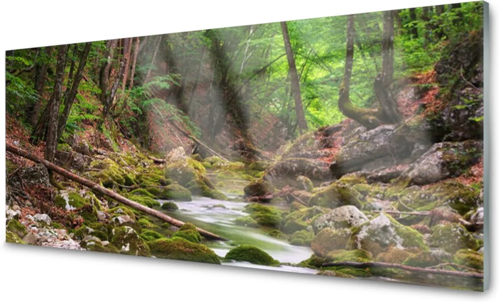 Plexisklo obraz Skleněný Les Mech Příroda