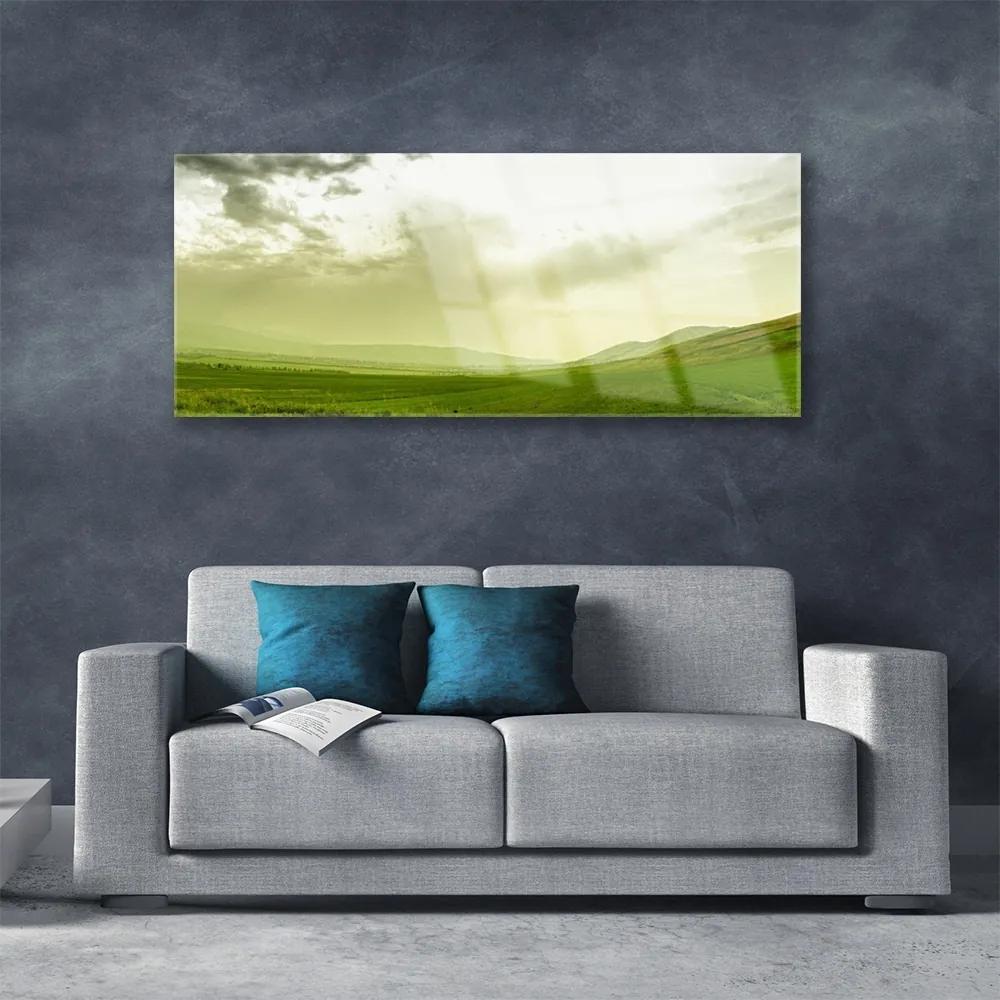 Plexisklo-obraz Louka Příroda Zelený Výhled 125x50 cm
