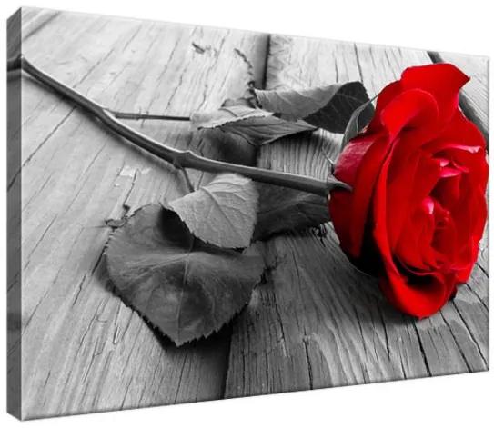 Obraz na plátně Červená růže 30x20cm 1138A_1T