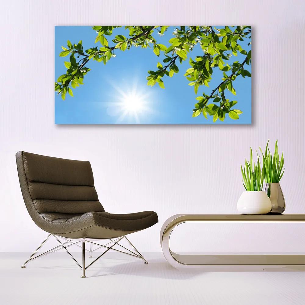 akrylový obraz Slunce Příroda 120x60 cm
