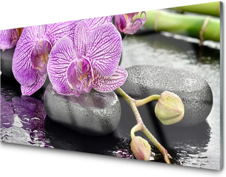 Skleněný obraz Kameny Zen Orchidej Lázně