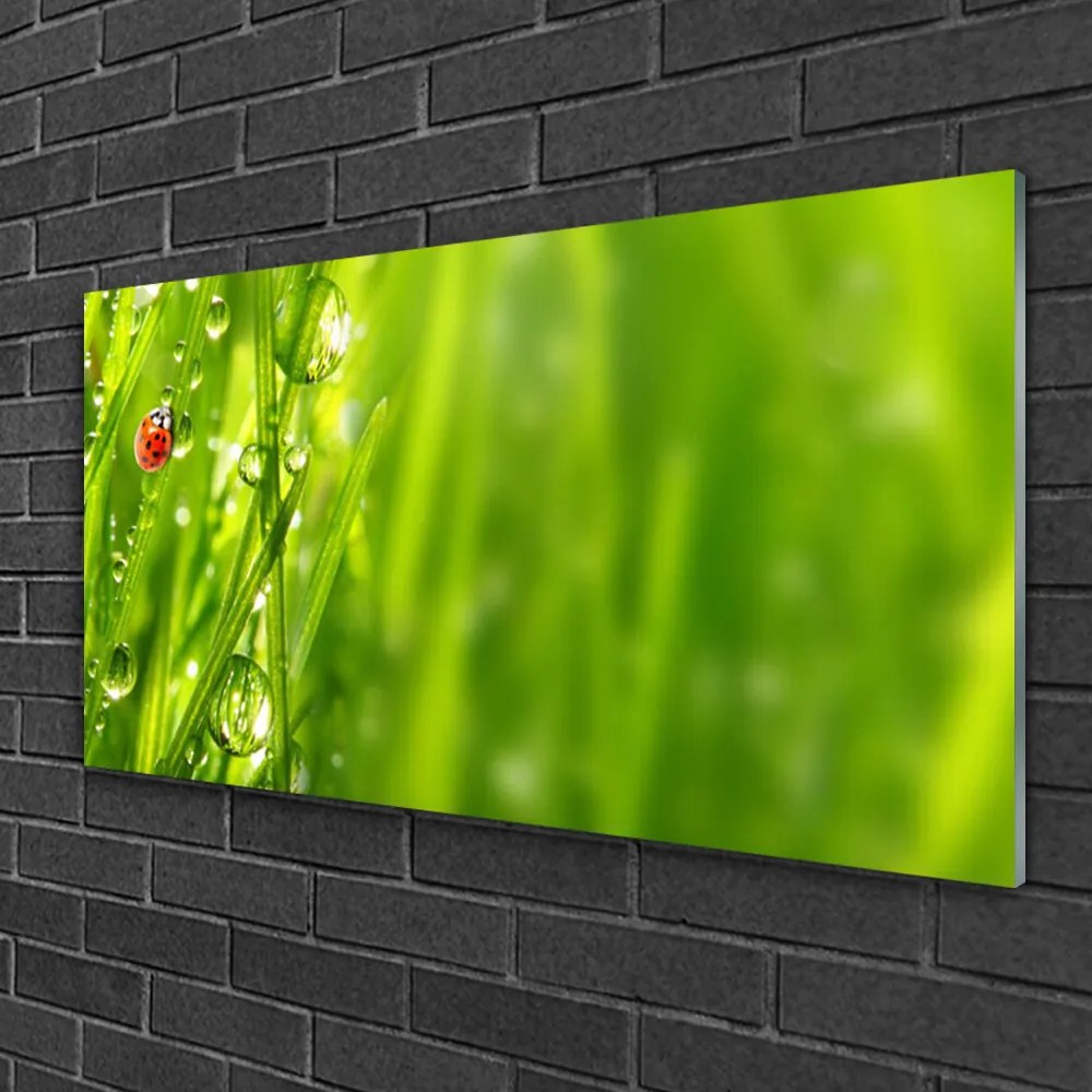 Obraz na skle Tráva Beruška Příroda 125x50 cm