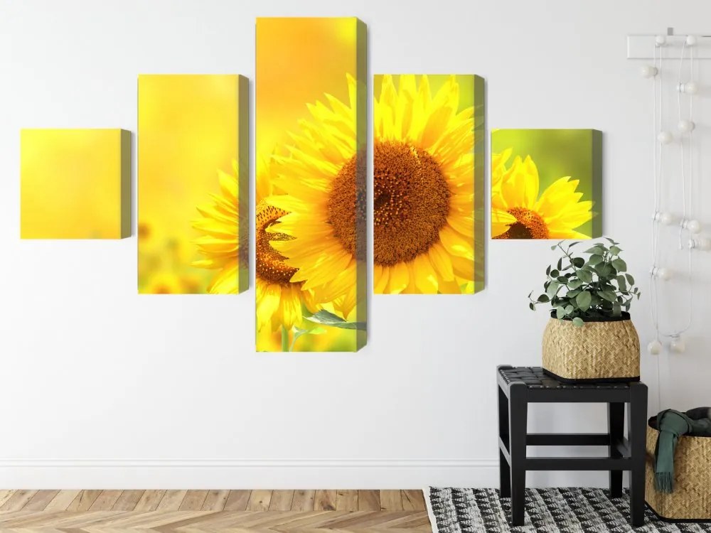Vícedílný obraz Kvetoucí Slunečnice 3D Nedostatek Nedostatek Přírodní plátno 150x90