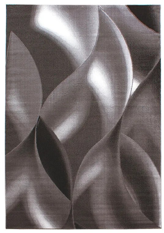Ayyildiz, Kusový koberec Plus 8008 brown, 80x150, hnědá, chodba / předsíň
