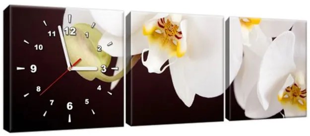 Tištěný obraz s hodinami Pěkná orchidej 90x30cm ZP1318A_3A