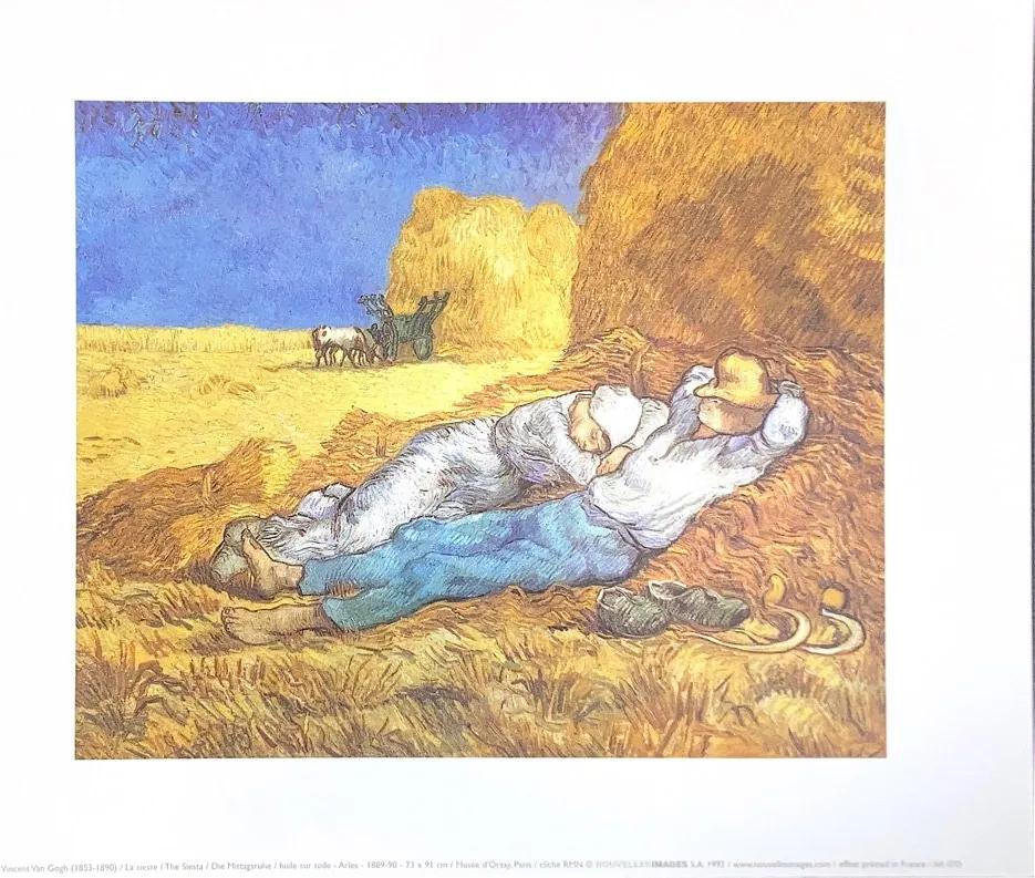 Postershop Obrazová reprodukce : Vincent Van Gogh - 24x30cm