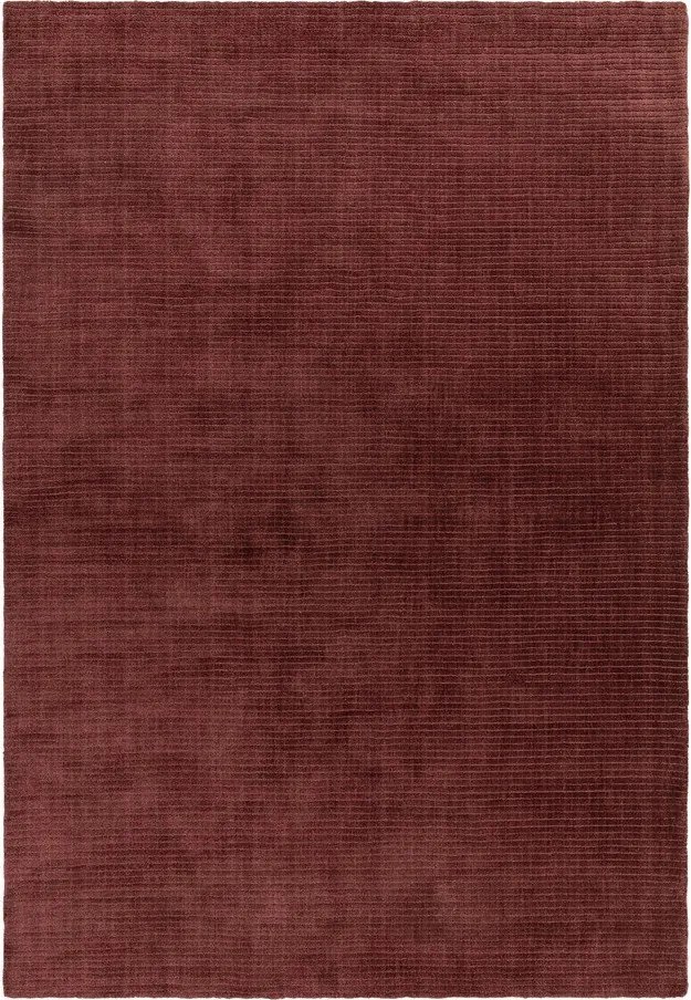 Vínový ručně tkaný koberec 160x230 cm – Asiatic Carpets