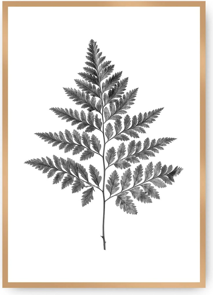 Plakát Fern Grey