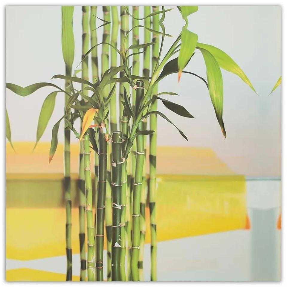 Obraz na plátně Bamboo Leaf Zen Spa - 60x60 cm