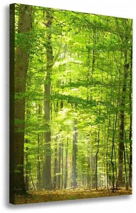 Obraz na plátně - Zelený les 70 x 100 cm