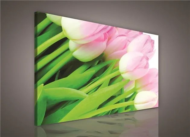 Obraz na plátně růžové tulipány 100 x 75 cm