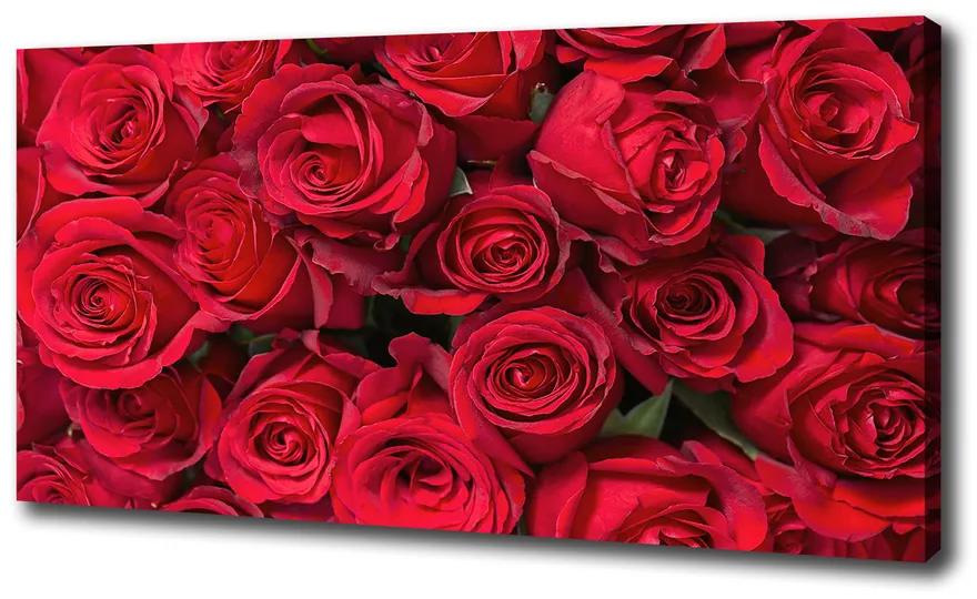 Wallmuralia Foto obraz na plátně Červené růže 100x50 cm