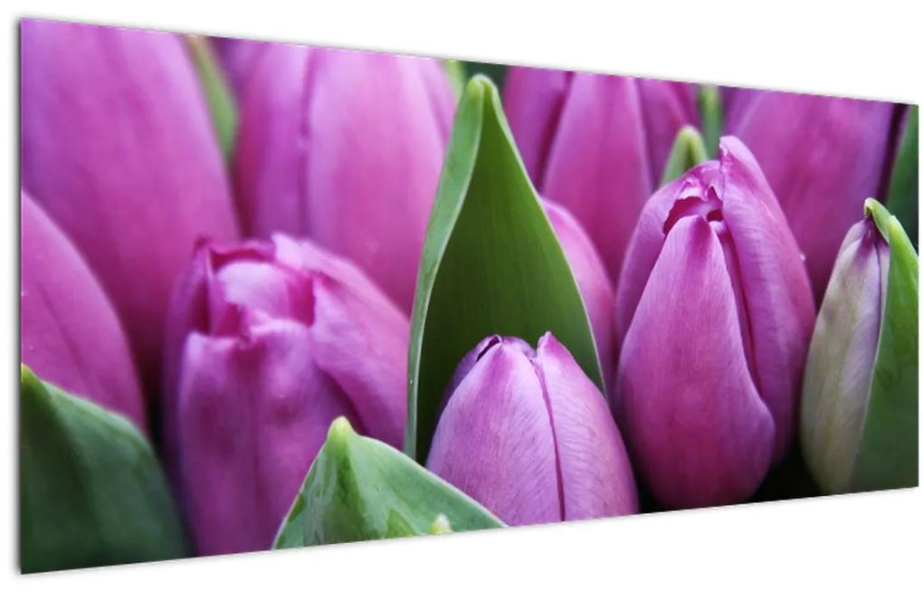 Obraz - květy tulipánů (120x50 cm), 40 dalších rozměrů