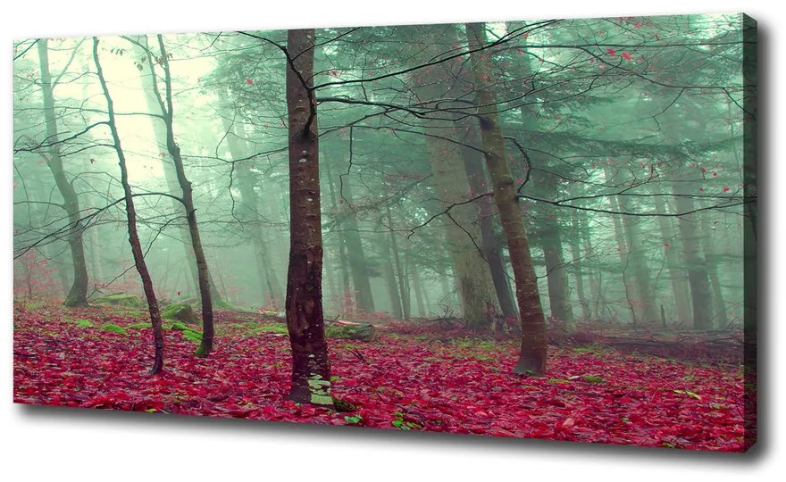 Wallmuralia Foto obraz na plátně Podzimní listí 100x50 cm