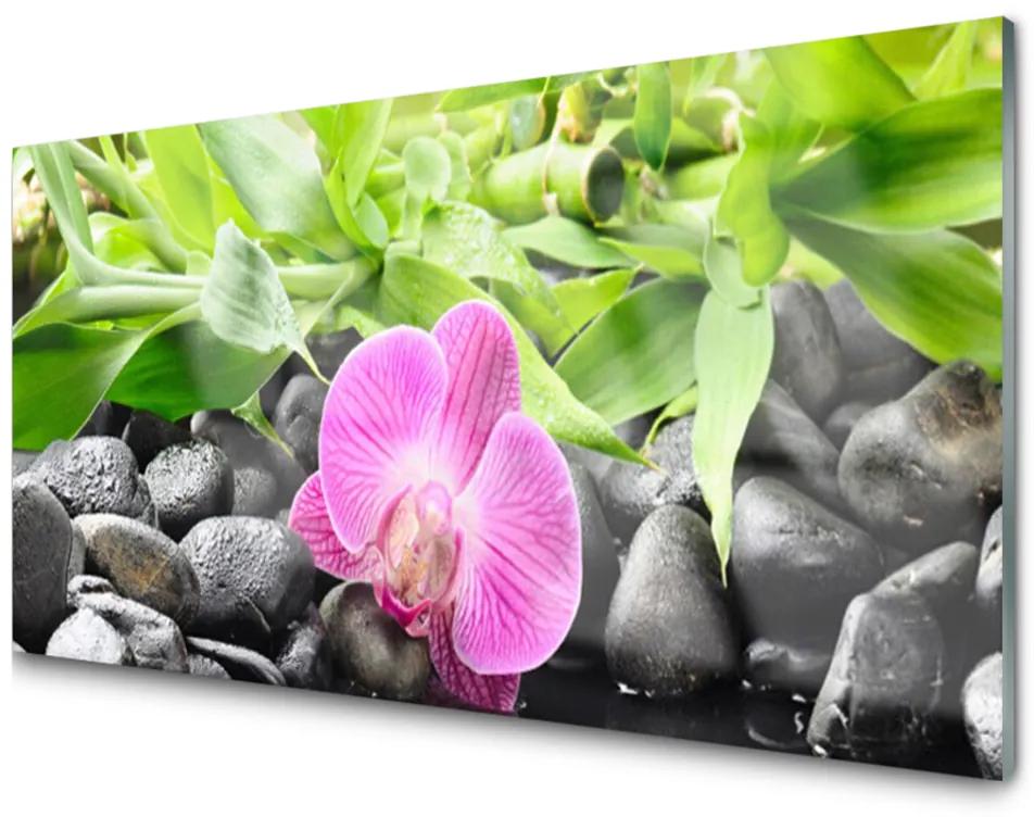 Plexisklo obraz Květiny Orchidej Kameny Zen