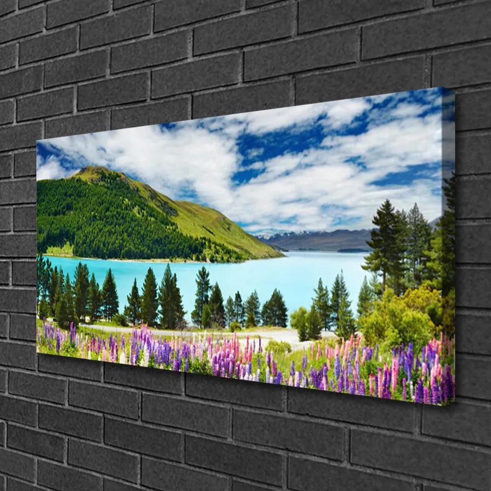 Obraz na plátně Hora Les Jezero Krajina 100x50 cm
