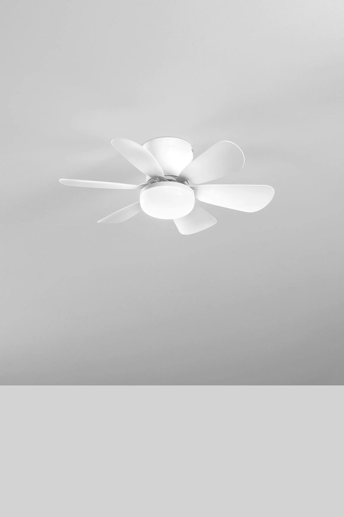 FAN LED-WIND-BCO Stropní ventilátorové LED svítidlo Wind (bílé) 10 W, 1100 lm, CCT, stmívatelné, IR ovladač, 16 x 53 cm - FANEUROPE