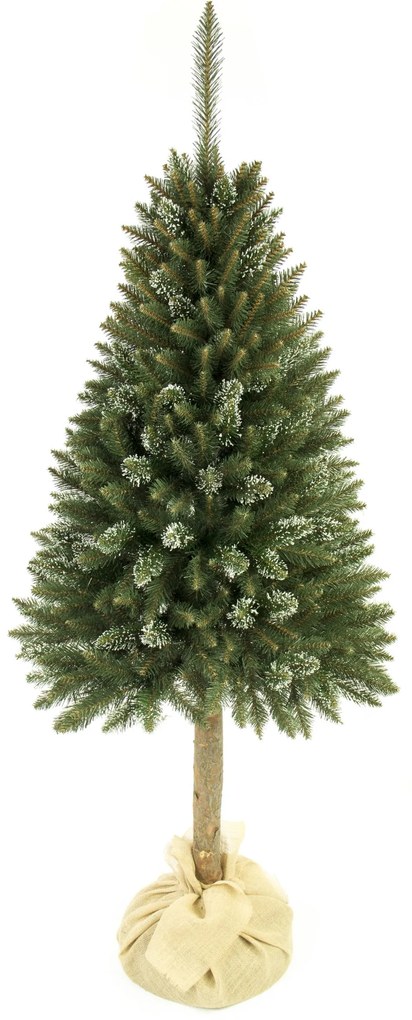 Vánoční stromek Smrk ledový na pníku 160 cm