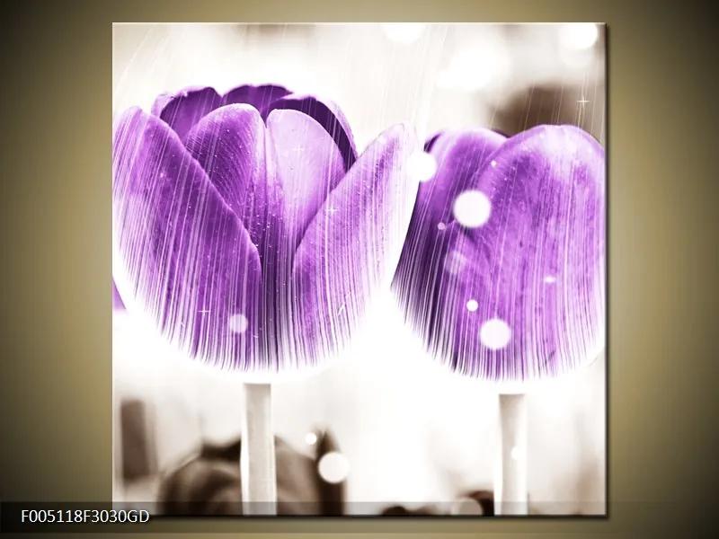 Obraz dvou fialových tulipánů (), 40 dalších rozměrů
