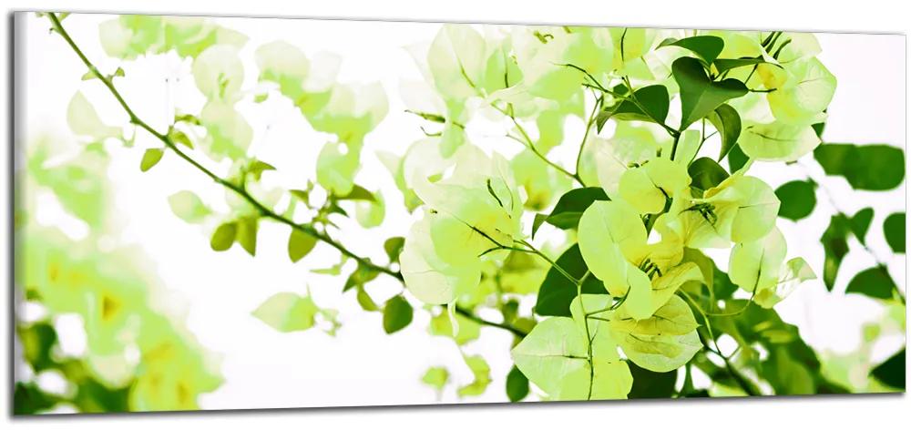 Obraz na plátně Zelené květy 1374AZ