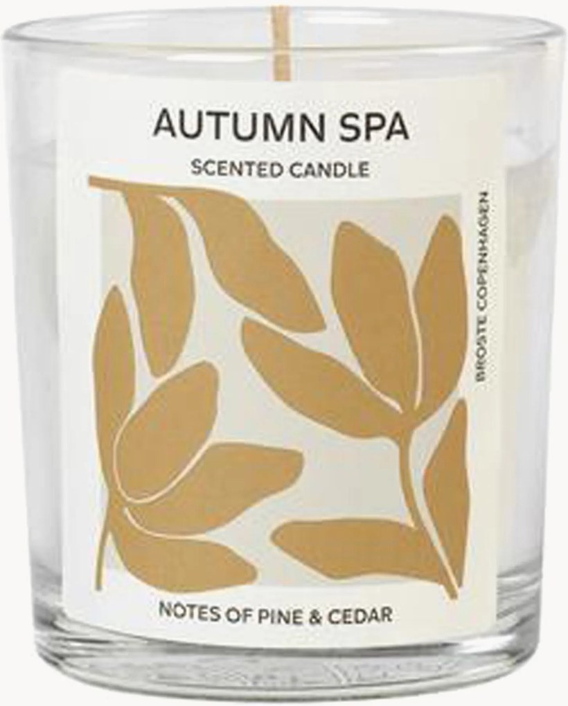 Vonná svíčka Autumn Spa (borovice a cedr)