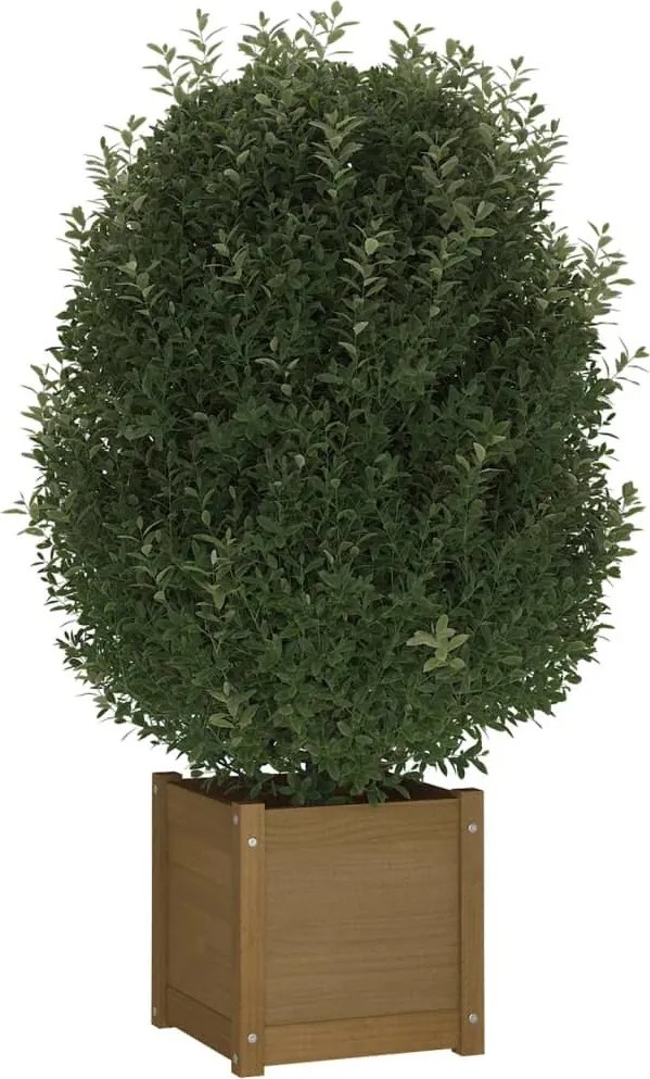 vidaXL Zahradní truhlík 40 x 40 x 40 cm masivní borovice [810540] Barva: Černá