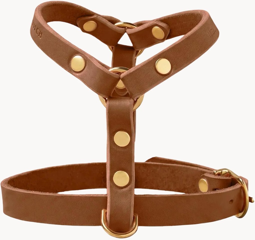 Kožený postroj pro psa Y-Harness, v různých velikostech
