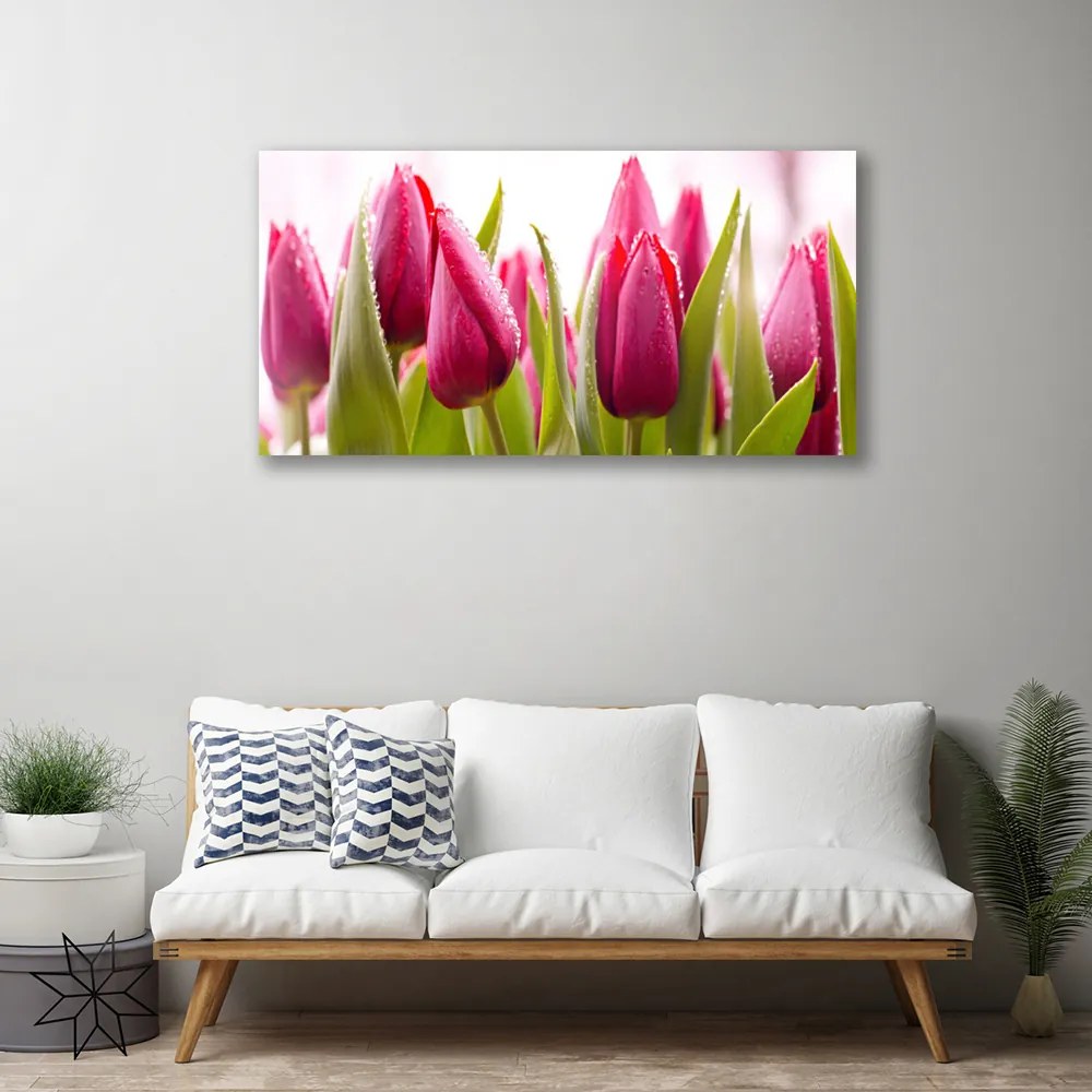 Obraz na plátně Tulipány Květiny Rostlina 100x50 cm