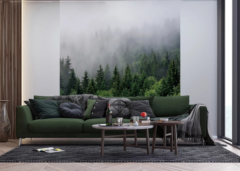 Vliesová fototapeta na zed' Les v Ranní Mlze | 225 x 270 cm | DFT3P5901