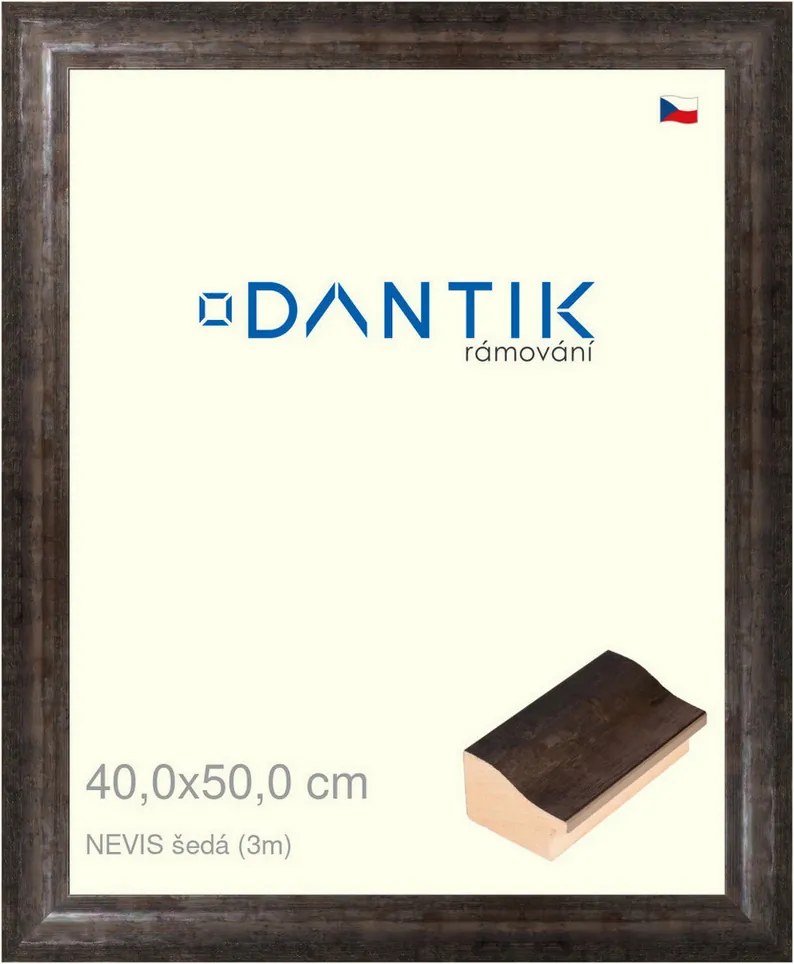 DANTIK rámeček 40x50 | NEVIS šedá (Sklo Čiré)