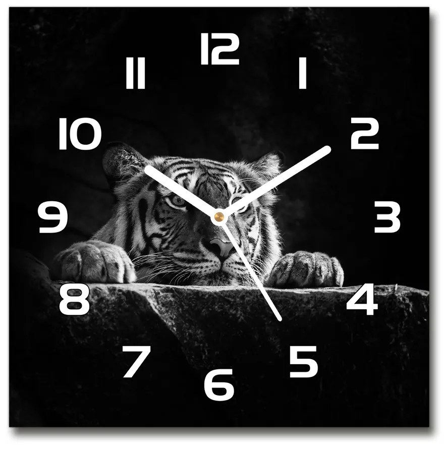 Wallmuralia Skleněné nástěnné hodiny čtverec Tygr 30x30 cm