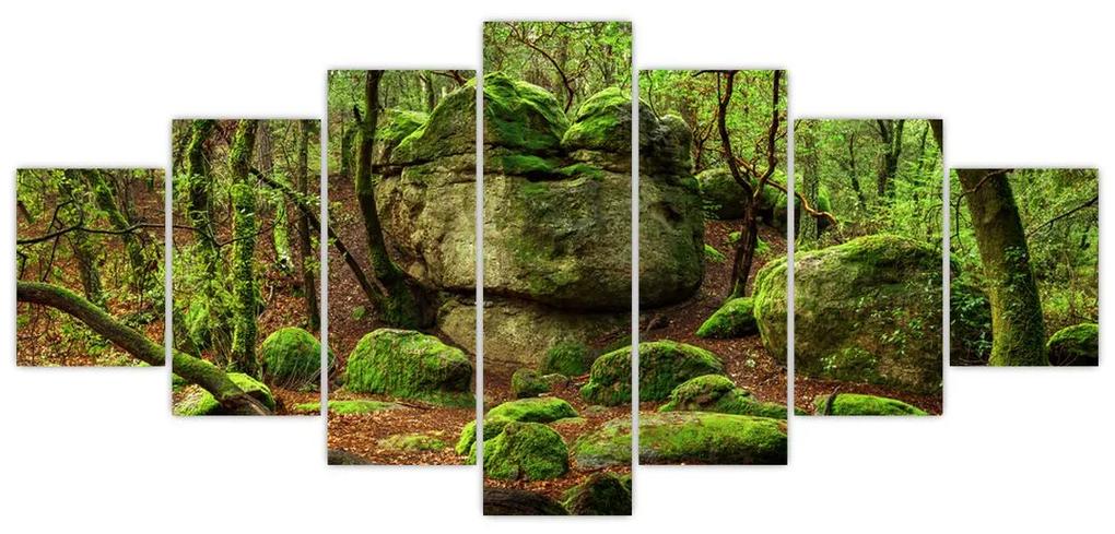 Obraz kouzelného lesa (210x100 cm)