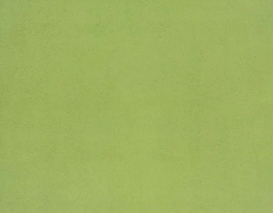BEAUFLOR PVC podlaha - lino Xtreme Mira 550M - zelené ŠÍŘKA: 4 m, POUŽITÍ: Zátěžové