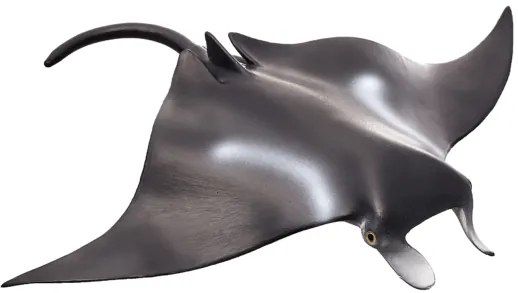 Mojo Rejnok manta