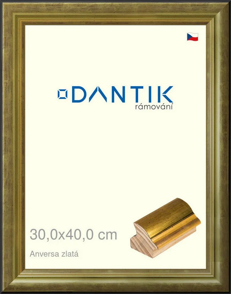 DANTIK rámeček 30x40 | ANIVERSA zlatá (Plexi Čiré)