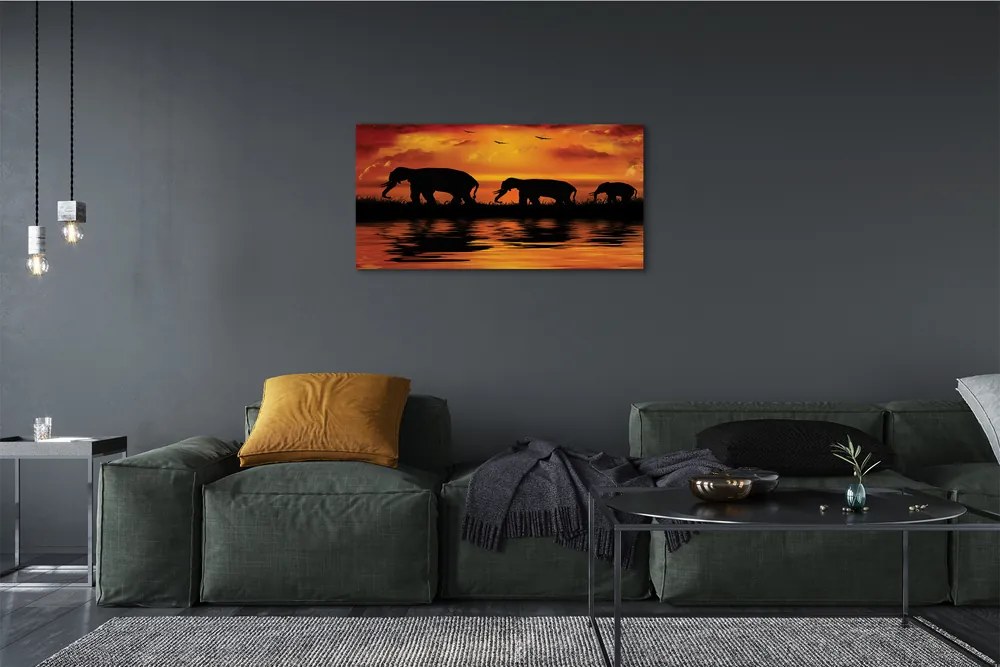 Obrazy na plátně sloni West Lake 140x70 cm