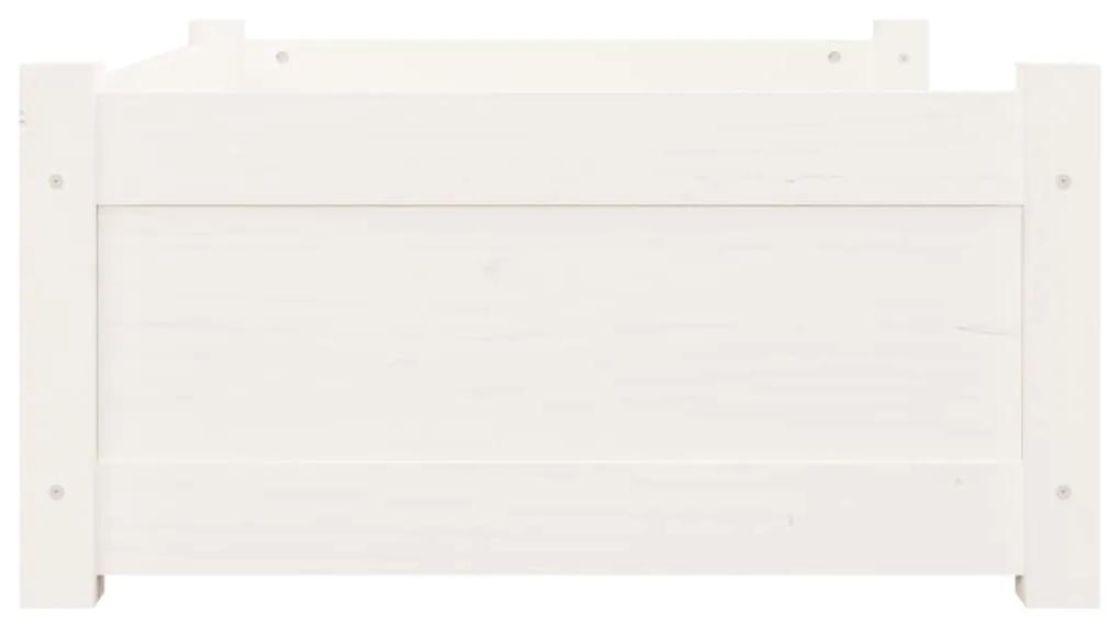 Pelíšek pro psy bílý 75,5 x 55,5 x 28 cm masivní borovice