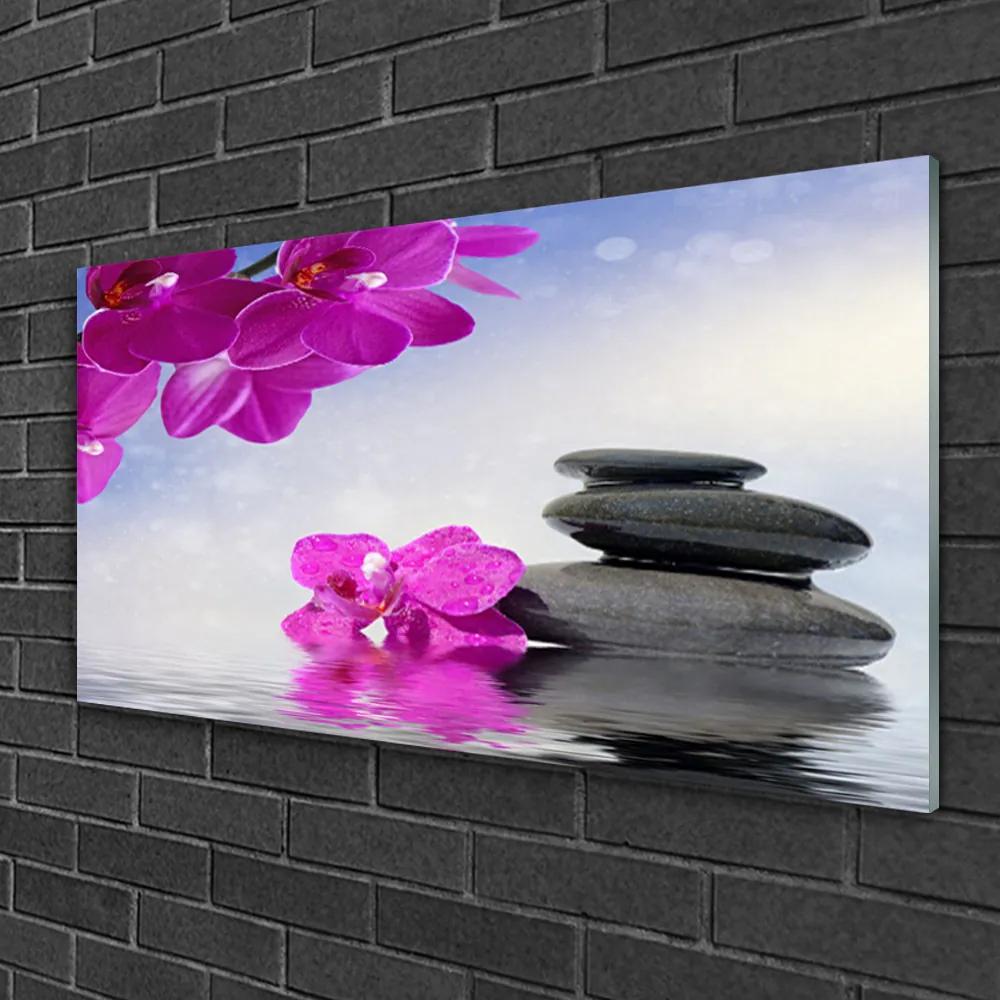 Obraz na skle Květiny Kameny Rostlina 120x60 cm