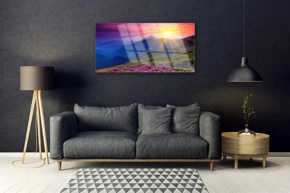Obraz na skle Hory Květ Louka Krajina 100x50 cm