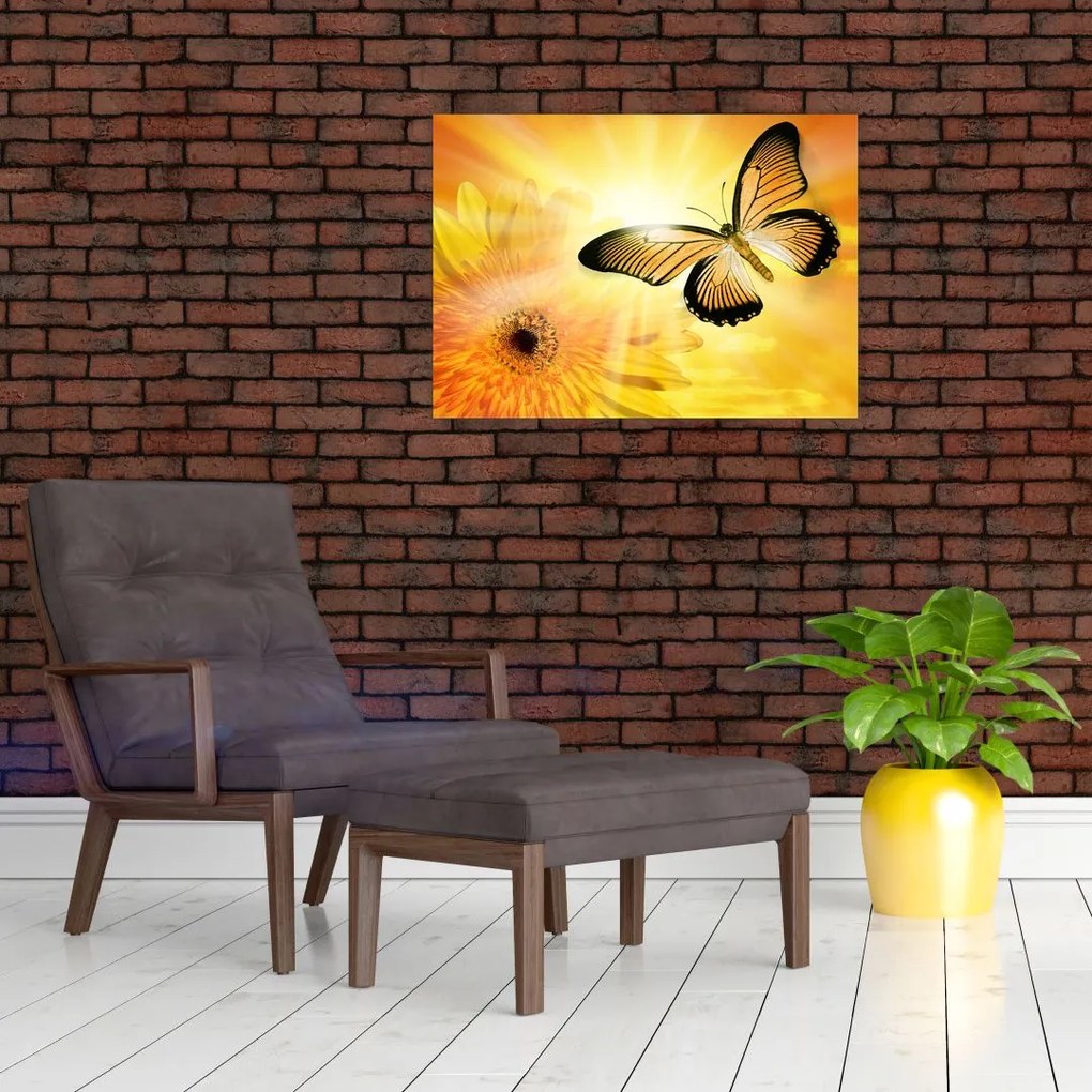 Skleněný obraz - Žlutý motýl s květem (70x50 cm)