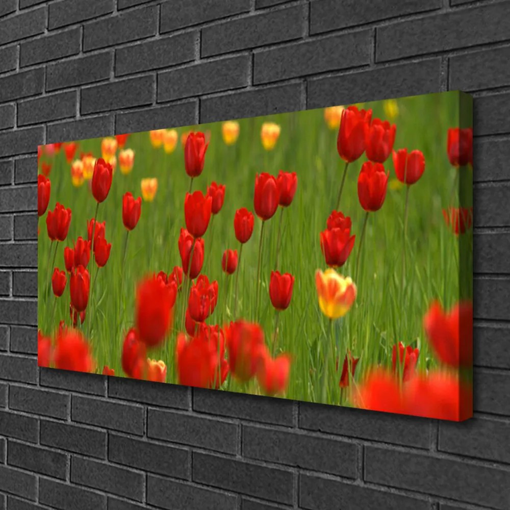 Obraz na plátně Tulipány Rostlina 120x60 cm