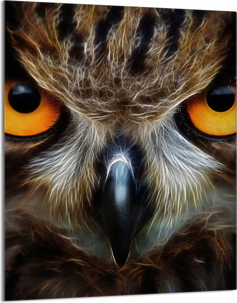 Skleněná Krájecí Deska 40x52 Sova Tvrzené Sklo