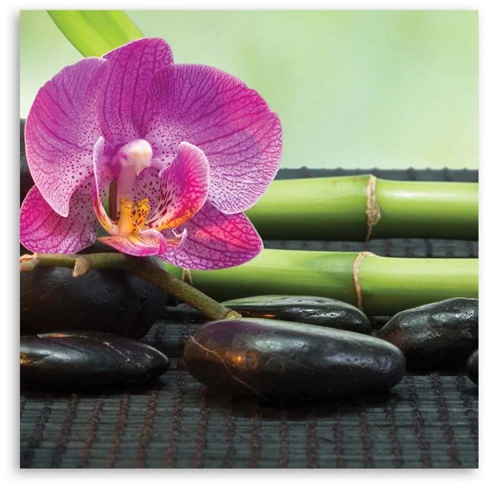 Obraz na plátně Lázně Zen Orchidej Květiny - 50x50 cm