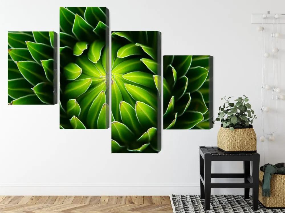 Vícedílný obraz Zelená Rostlina V Makro Měřítku Nedostatek Nedostatek Přírodní plátno 240x150
