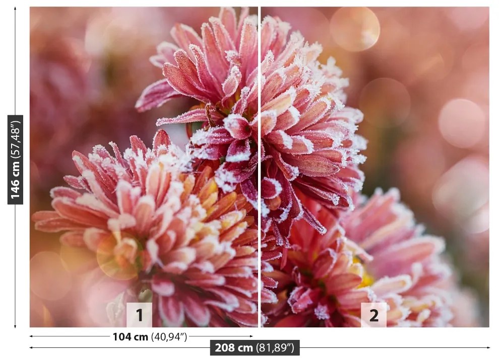 Fototapeta Aster ice Pink 104x70