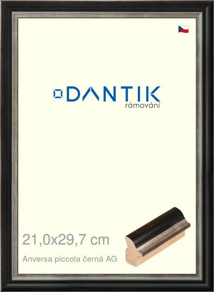 DANTIK rámeček 21x29,7 | ANIVERSA piccola černá AG (Sklo Čiré)