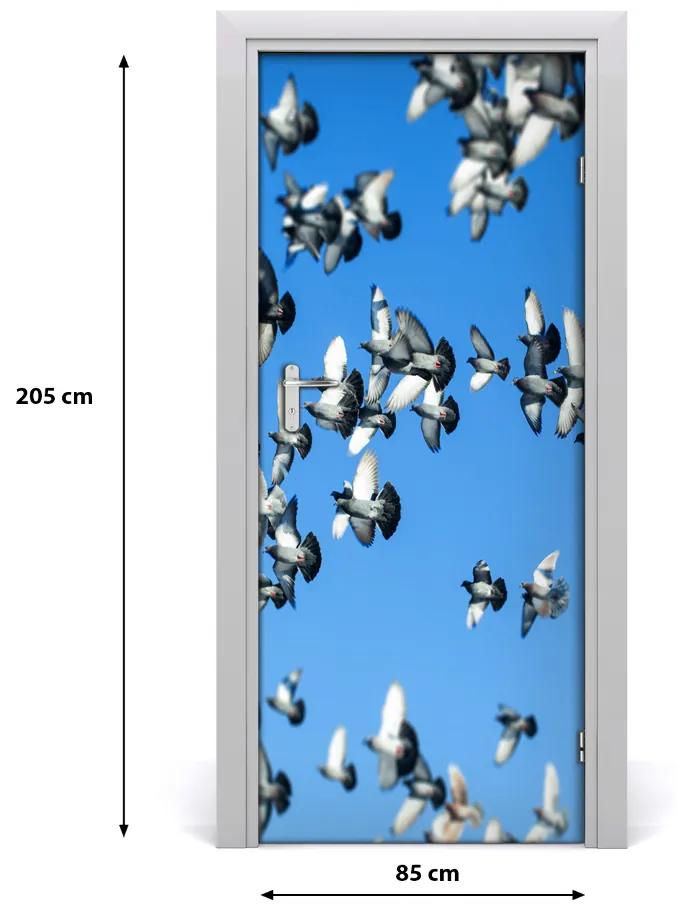 Fototapeta na dveře holubi na nebi 85x205 cm